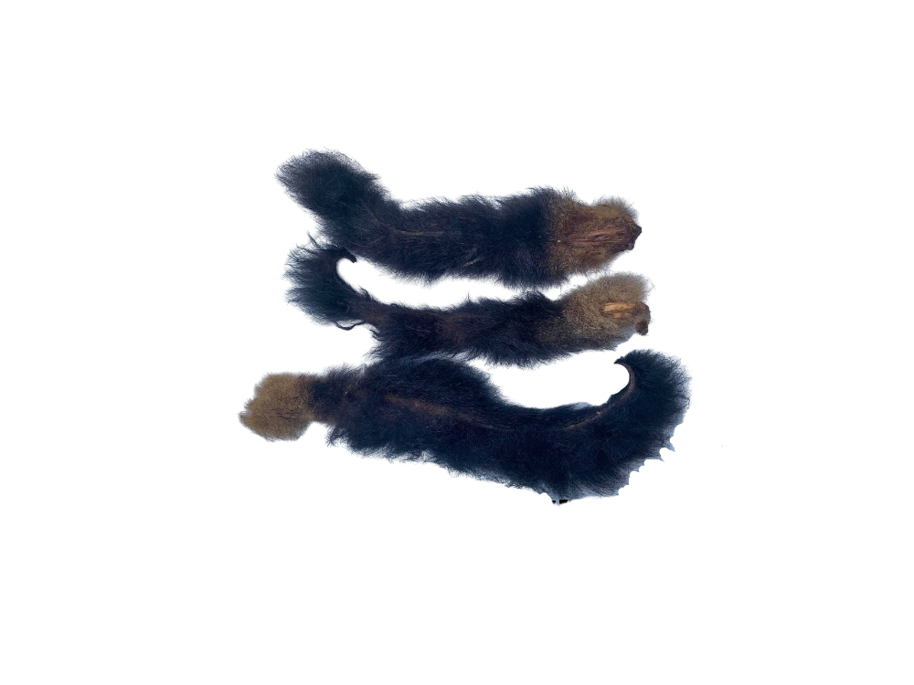 Possum Tails Frozen Fur On Each